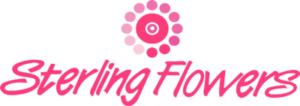 Sterling Flowers – Sterling Flowers – Luxury Floral Arrangements ...